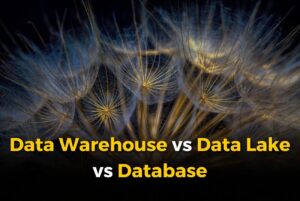 What is the difference between Database and Data Warehouse and Data lake?