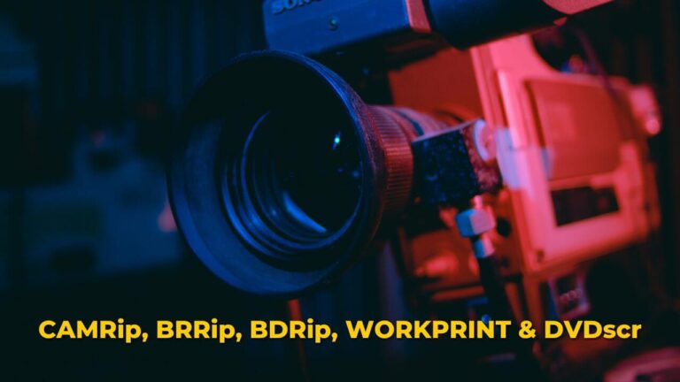 What does CAMRip, BRRip, BDRip, WORKPRINT & DVDscr mean?