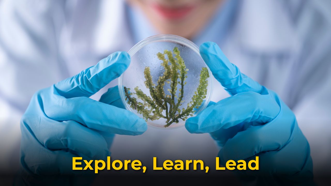 Explore, Learn, Lead: Staying Relevant in the Science & Tech Era